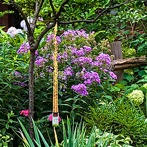 BLACK+DECKER Fly Traps Outdoor & Fruit Fly Traps for Indoors- Fly Trap Paper Strips & Gnat Traps for House- Sticky Glue Strips for Moths, Mosquitoes & Other Insect Control, 20 Pack