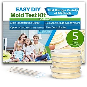 Evviva Sciences Mold Test Kit for Home - 5 Simple Detection Tests w/Optional Lab Analysis (Extra Fee), Test HVAC System, Home Surfaces, & Indoor Air Quality - Downloadable Mold Information Guide