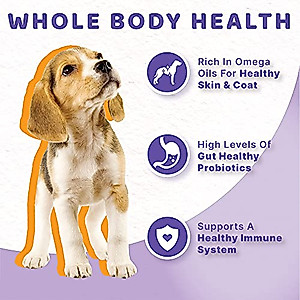 Halo Puppy Dry Dog Food, Chicken & Liver 4-Pound Bag