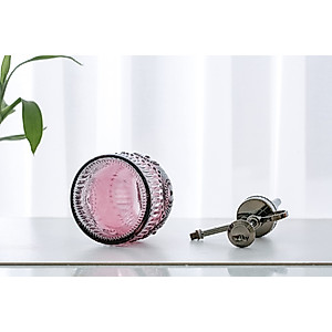 Glass Plant Mister Spray Bottle, 6.3inch Tall Vintage Plant Spritzer Watering Can, Succulent Watering Bottle with Top Pump, Plant Mister Glass Watering Garden Tool (Grey Red Gradient)