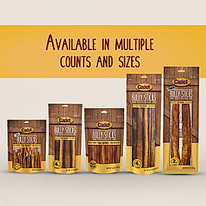 Cadet Bully Hide Sticks for Large Dogs – All-Natural Beef Pizzle, High Protein, Low Fat, Long-Lasting, Grain & Rawhide-Free Dog Chews for Aggressive Chewers, Large (1 Count)