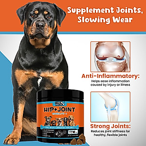 Chews Pawsitive Hip and Joint Supplement for Dogs- Mobility, Hip and Joint Chews for Dogs with Glucosamine, Chondroitin, MSM, Tumeric, Hemp Oil- Soft Chews Joint Support Supplement for Dogs- 120ct