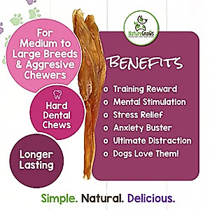 Nature Gnaws Tendons for Large Dogs - Premium Natural Beef Dental Sticks - Long Lasting Tasty Dog Chew Treats for Aggressive Chewers - Rawhide Free