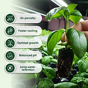 BioPlug Germination Rooter Cube 100 Pcs - Replacement Root Growth Sponges Kit Compatible with Aerogarden - Seed Starter Sponge Pods for Indoor Hydroponic Growing System