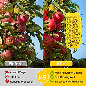 KILSACO Wasp Traps Outdoor 2Pcs with 8 Pcs Sticky, Hornet Trap Catcher, Non-Toxic Reusable Yellow Jacket Trap, Carpenter Bee Traps for Outside, Fly Traps Outdoor Hanging, Wasp Repellent Deterrent