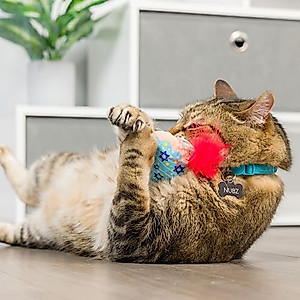 Huxley & Kent 2-Pack Plush Cat Toys | Jelly Roll & Meowchewitz | Hanukkah Holiday Strong Catnip Filled Cat Toy | Plush Kitten and Cat Toy with Catnip and Crinkle | Kittybelles