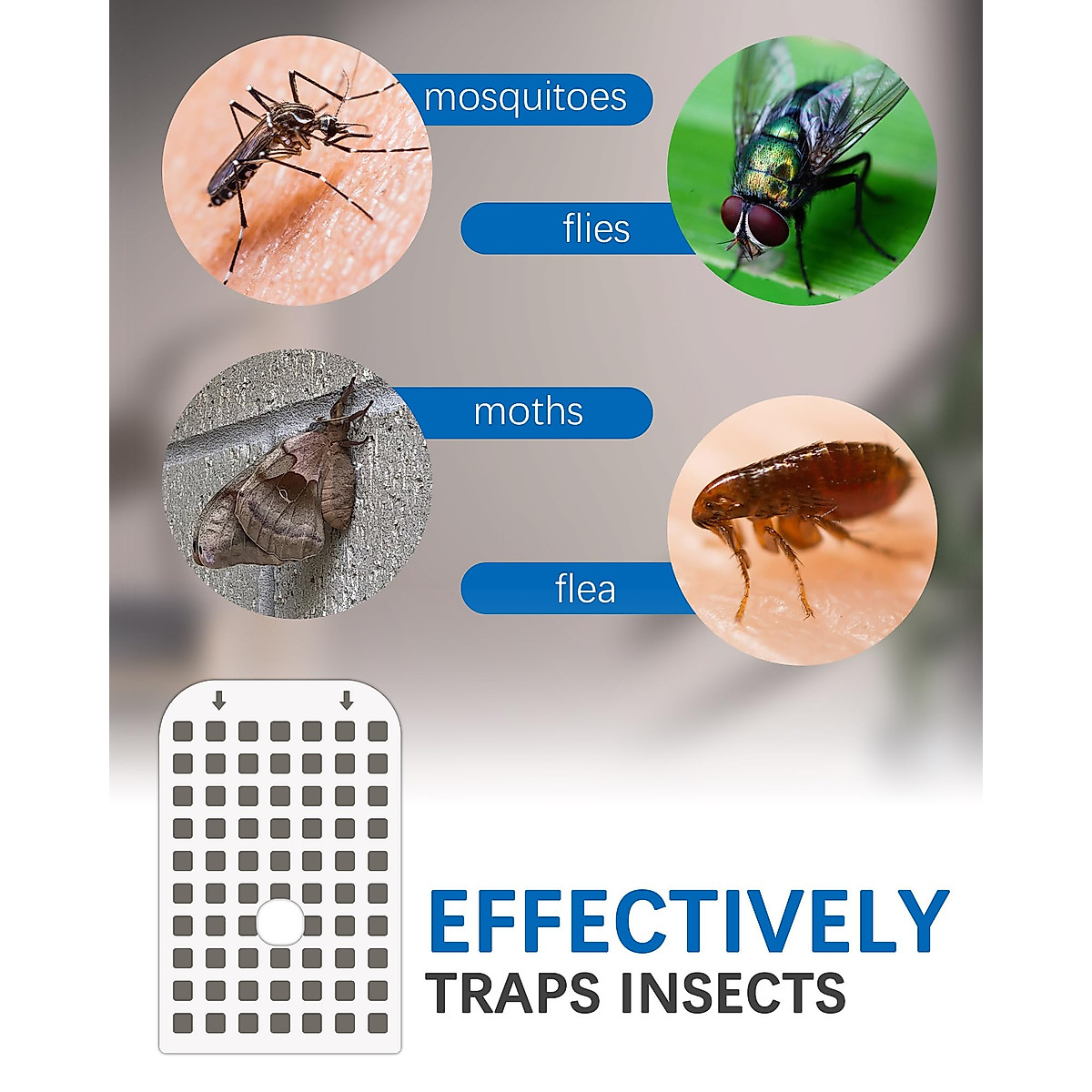 10 Pack Fly Trap Indoor Refill Glue Cards Compatible with DFAGIE GS6 Plug-in Flying Insect Trap, Replacement Adhesive Cards for Mosquito Fruit Fly Moths Gnat Trap for House