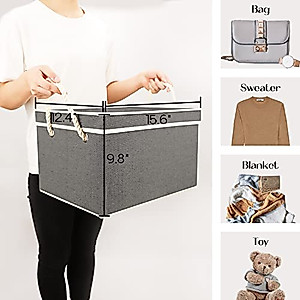 LoforHoney Home Bundle- Storage Bins with Lids Light Gray XLarge 4-Pack, Storage Baskets with Metal Frames Light Gray Jumbo 2-Pack