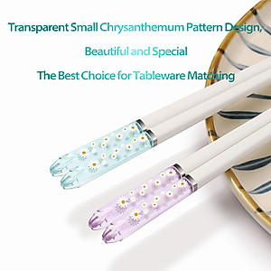 5 Pairs Chopsticks-Reusable Chopsticks Dishwasher Safe, 9.6 inch/24.3cm Matte Non-Slip Fiberglass Chop Sticks, Chinese/Japanese Korean Chop Stick Gift, Daisy Green
