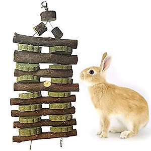 kathson Chinchilla Treats,Bunny Chew Toys for Rabbits Teeth Grinding Fruitwood Guinea Pigs Treats, Sticks for Rodent Pets Rats Hamsters Dwarf Rabbits Squirrels and Gerbils