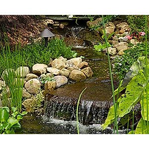 Atlantic Water Gardens BF1900 Pond Filter & Waterfall Spillway, 19-inch, Black