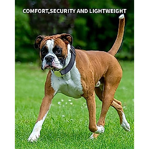 Dynmeow 1 Pack Airtag Dog Collar Holder, Stretchy Silicone Airtag Holder for Dog and Cat Collar, Anti-Lost Dog Airtag Holder Compatible with 3/4 and 1 inch Wide Collar (Purple)