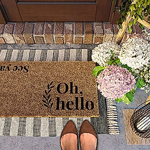 Barnyard Designs 'Oh Hello, See Ya' Doormat Welcome Mat for Outdoors, Large Front Door Entrance Mat, 30x17, Brown