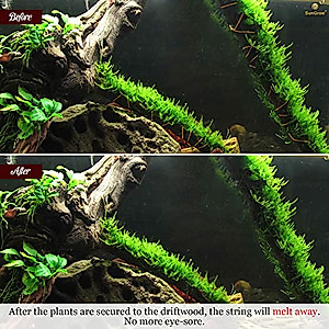 SunGrow Self-Dissolving Driftwood Strings, 20” Long Rope, Tie Java Fern, Moss, Anubias Plants, Blends with Cholla, Driftwood, 20-pcs