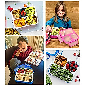 Bento Box for Kids, Toddler Lunch-Box for Small Boys Girls in School, Pre-School or Daycare, Leakproof 3 Compartment Containers for Portion Control Snacks for Adults, BPA Free. Medium Blue Pink 2 pack