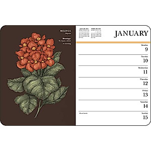 Floriography 12-Month 2023 Monthly/Weekly Planner Calendar: Secret Meaning of Flowers