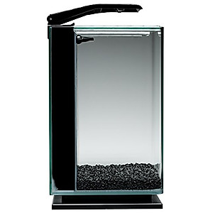 Marineland Portrait Glass LED Aquarium Kit, 5 Gallons, Hidden Filtration,Black