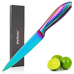 WELLSTAR Rainbow Kitchen Utility Knife 5 Inch, Super Sharp Fine Edge Fruit Vegetable Slicing Knife with German Stainless Steel Forged Blade and Titanium Coating – Small Multipurpose Knife