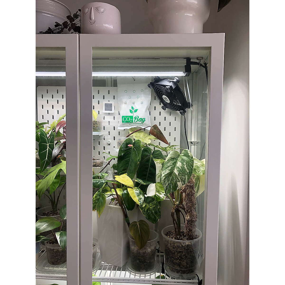 CO2 BAG -CO2 for indoor growing. Small, effective and affordable