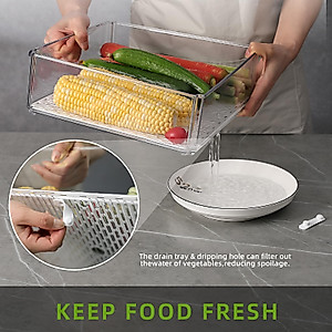 Santiccipa Refrigerator Organizers and Storage, 10 Pack Stackable Clear Drawer Storage Containers and Bins with Lids for Salad Bar, Fruits, Vegetables, Food, Produce, Kitchen and Fridge Organization