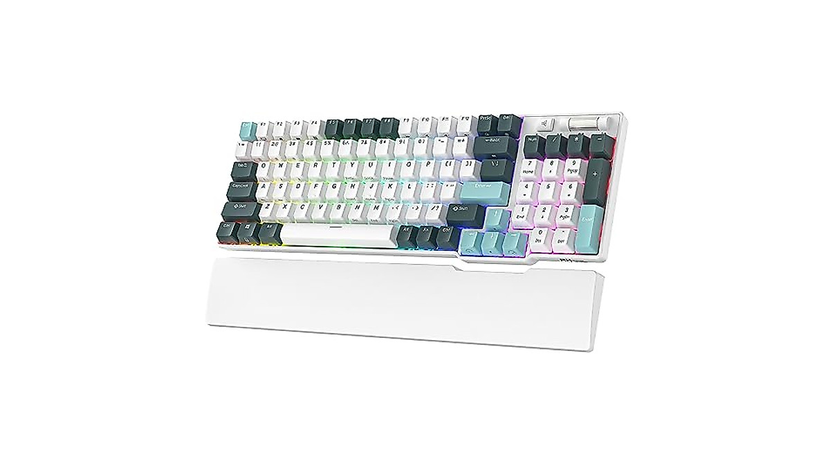 RK ROYAL KLUDGE RK96 RGB Limited Ed, 90% 96 Keys Wireless Triple Mode ...