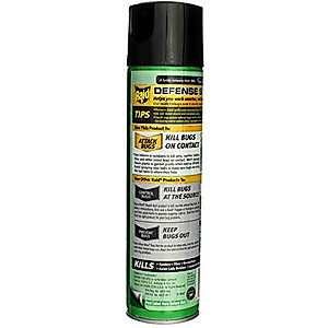 Raid House and Garden Aerosol, 11 OZ (Pack of 3)