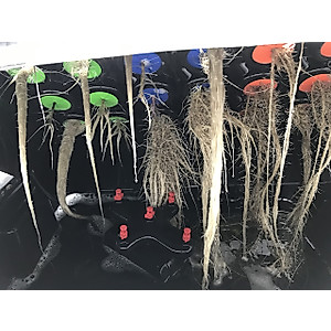 Viagrow® VCLN24 Clone Machine 24 Site Aeroponic Hydroponic System, Single, Black