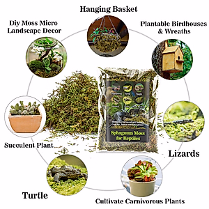 Sukh Sphagnum Moss for Reptiles - Terrarium Moss for Reptiles Peat Moss for Reptiles Habitat Bedding Moss for Snakes Turtle Frog Gecko and Other Reptiles Substrate (3, Ounces)
