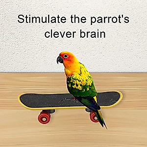 Toysructin Bird Training Toys, Bird Training Toy for Parrots Conures Parakeets, Parrot Intelligence Toy Mini Shopping Cart Basketball Stacking Rings Skateboard Stand Perch Bird Toy Set for Cockatiels