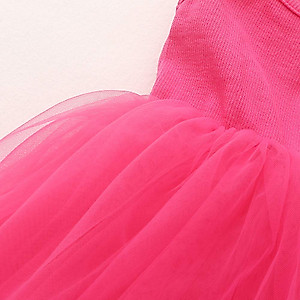 ZINPRETTY Toddler Dress Baby Girls Tutu Playwear Sleeveless Birthday Party Outfit Infant Tulle Sundress Knee Length 3-4T Rose