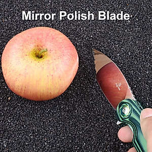 SHIELDON Bulbasaur Folding Pocket Knife, 3.66-inch Sandvik 14C28N Mirror Polish Blade and G10 Handle, Liner Lock Knife for EDC