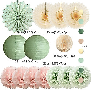 Sage Green and Blush Pink Party Decorations Paper Lanterns Sage Green Cream Paper Fans Light Pink Tissue Paper Pom Poms for Sage Green and Dusty Pink Birthday Baby Shower Bridal Shower Wedding