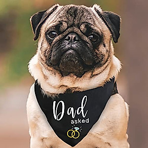 Tillfuru Dad Asked and Mom Said Yes Dog Bandana, Wedding Engagement Photos Bridal Shower Gift Pet Bandanas, 2 PCS(Black and White)