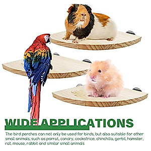 2 Pieces Bird Perches Bird Platform Perch with Pet Toys Bird Cage Accessories Parrot Perch Bird Rest Platform and Training Toy for Parakeet Gerbil Cockatiel Budgie Rat Mouse Chinchilla Hamster