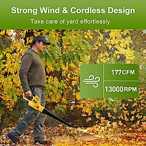 OMOTE Cordless Leaf Blower, 20V 2.0Ah Battery and Charger Included, Low Noise, Lightweight Leaf Blower Battery-Operated with One Button Control, Air Blowers for Lawn Care, Leaves and Snow Blowing