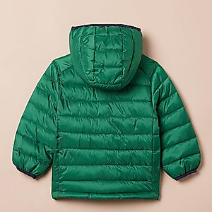 Amazon Essentials Toddler Boys' Lightweight Water-Resistant Packable Hooded Puffer Jacket, Green, 2T