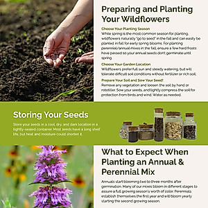 Eden Brothers Pretty in Pink Wildflower Mixed Seeds for Planting, 1/4 lb, 120,000+ Seeds with Candytuft, Rose Mallow | Attracts Pollinators, Plant in Spring or Fall, Zones 3, 4, 5, 6, 7, 8, 9, 10