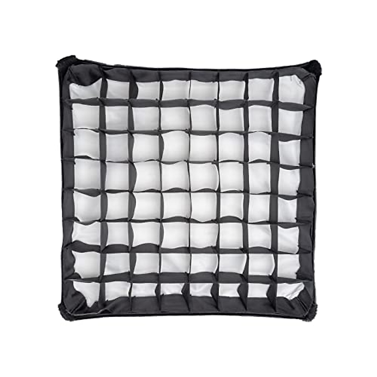 Aputure LS 60 Softbox for Aputure LS 60D and Aputure LS 60X Led Video Light,45° Light Control Grid