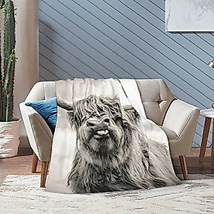Billichase Highland Cow Blanket Portrait of Cow Pattern Flannel Fleece Throw Blanket Scotland Scottish Horns Bull Cattle Blankets for All Seasons for Couch Bed Sofa 50 X 40 Inches