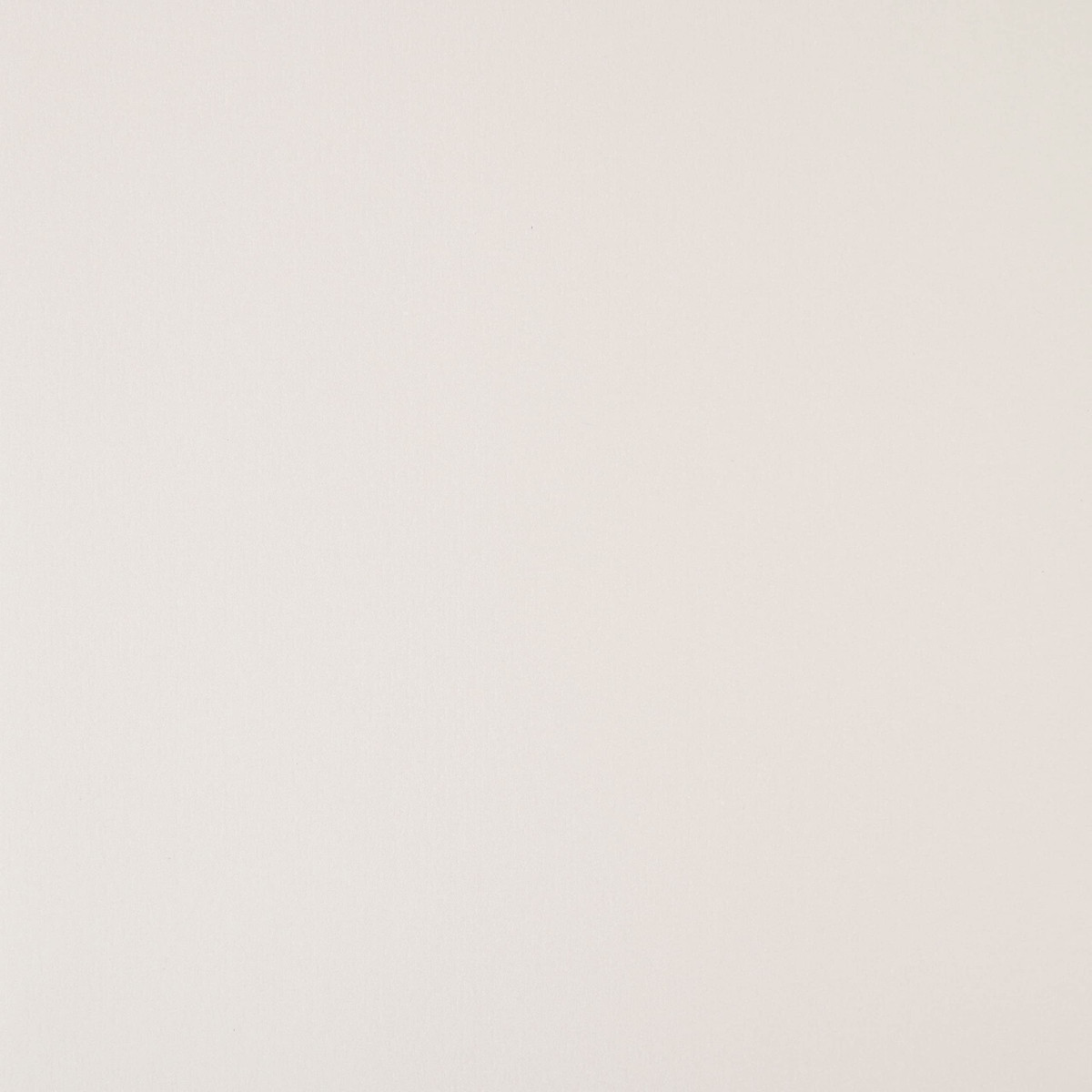 MICHAELS Shimmer Silver & Champagne 8.5”; x 11”; Cardstock Paper by Recollections®, 100 Sheets