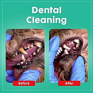 Dog Chew Toys for Aggressive Chewers - Chew Ring Interactive Medium Large Dog Puzzle Toys, Dog Chew Enrichment Toys for Boredom and Brain Stimulating Game Keeps Them Engaged