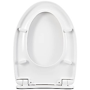 TOTO SS124-01 Toilet Seat in Cotton White