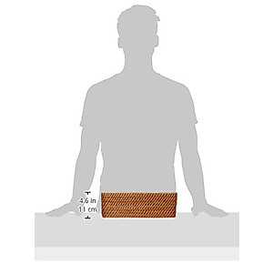 Kouboo 1060121 Laguna Rattan Shelf & Organizing Basket