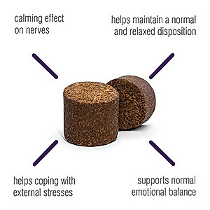 VetIQ Calming Support Supplement for Dogs, Anxiety Supplement Soft Chews,1 Count (Pack of 90)