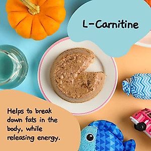 MOOCHIE Wet Cat Food - Weight Management - Grain Free Wet Cat Food - Minced Salmon & Prebiotics - No Added Preservatives or Artifical Flavoring - Adult Cat Food - 12 x 2.5oz Pouch