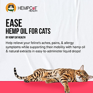 Hemp Dog Health Ease Hemp Oil for Cats: Joint and Muscle Pain Relief for Cats | Cat Arthritis Pain Relief | Cat Allergy Relief | Effective Anti Itch for Cats | Easy-to-Give Hemp Drops for Cats