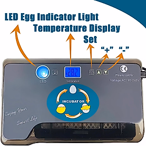 SSZYace 12-35 Egg Incubator, Incubators for Hatching Eggs with Automatic Turner, Egg Candler and Temperature Display, for Chicks, Quails, Ducks, Small Poultry