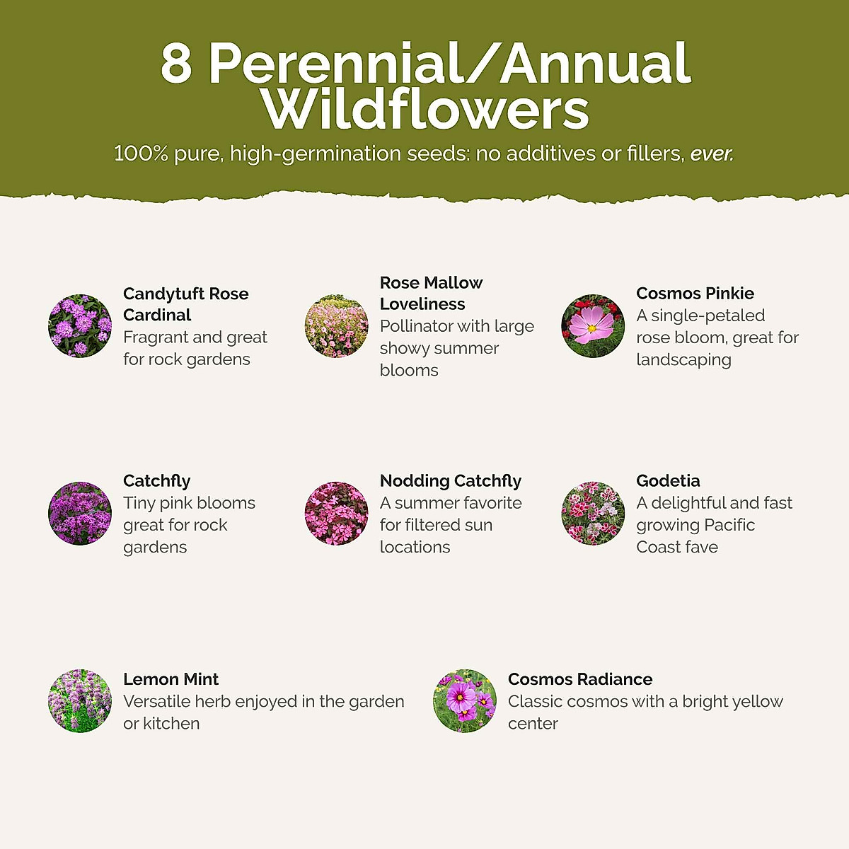 Eden Brothers Pretty in Pink Wildflower Mixed Seeds for Planting, 1/4 lb, 120,000+ Seeds with Candytuft, Rose Mallow | Attracts Pollinators, Plant in Spring or Fall, Zones 3, 4, 5, 6, 7, 8, 9, 10