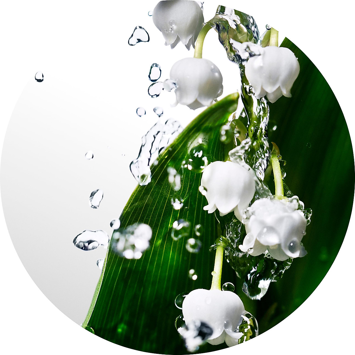 Davidoff Cool Water Eau de Toilette for Women, 1.6 fl oz.