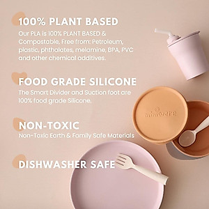 Miniware Healthy Meal Set with Sandwich Plate, Divider, and Detachable Suction Foot for Baby Toddler Kids - Promotes Self Feeding | Eco-Friendly and BPA Free | Dishwasher Safe (Aqua, Aqua)